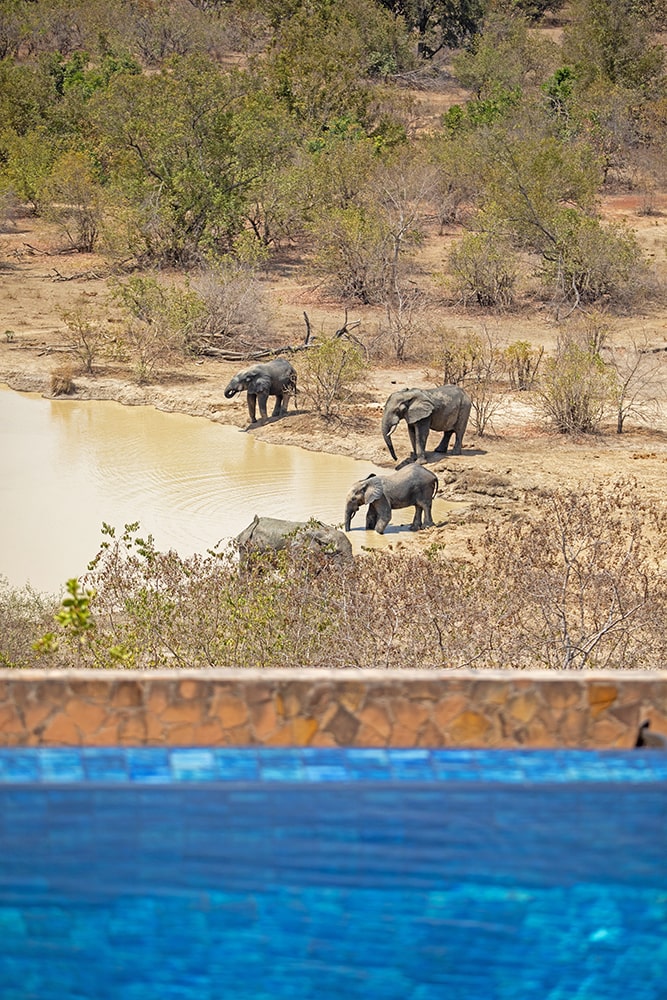 Book Now | Zaina Lodge